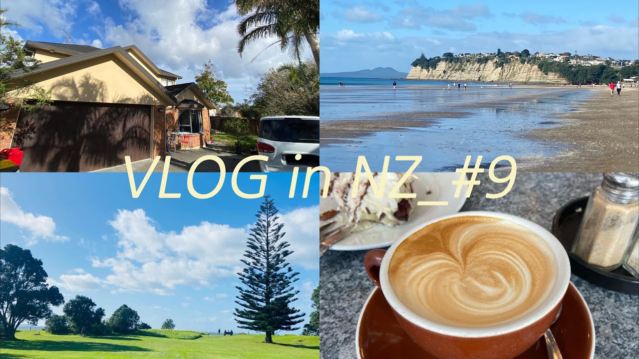 뉴질랜드 워홀 Vlog#9ㅣ첫 플랫 입주, Long Bay Beach, Browns bay Library, 연어장 만들기, 공장 ...