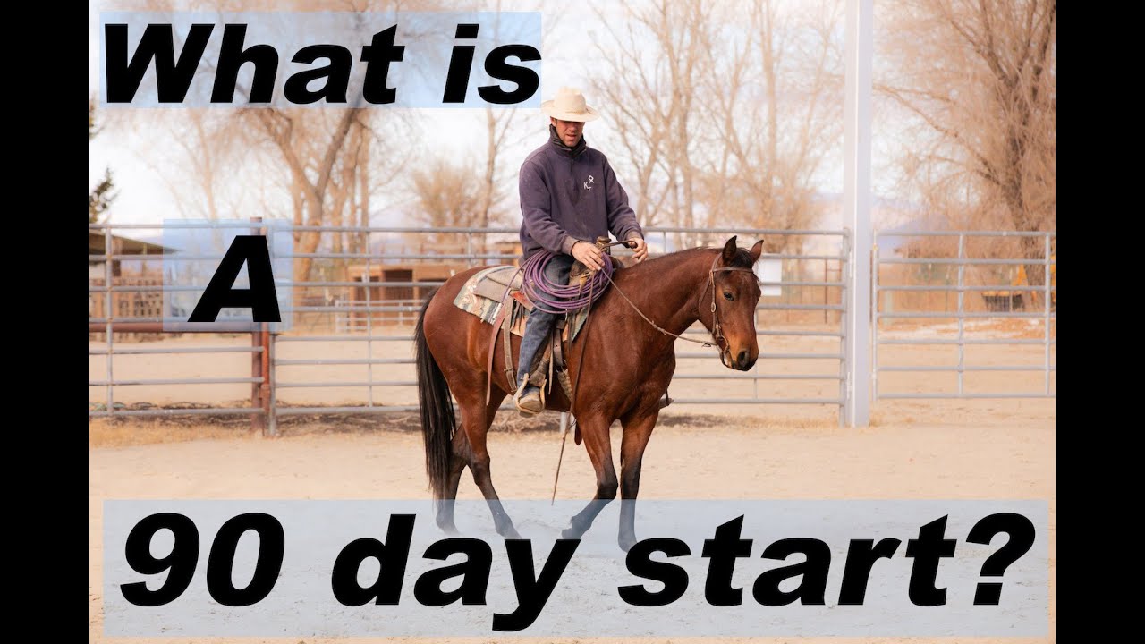 What is A "90 Day Start" : What I expect from a horse in 90 Days - YouTube