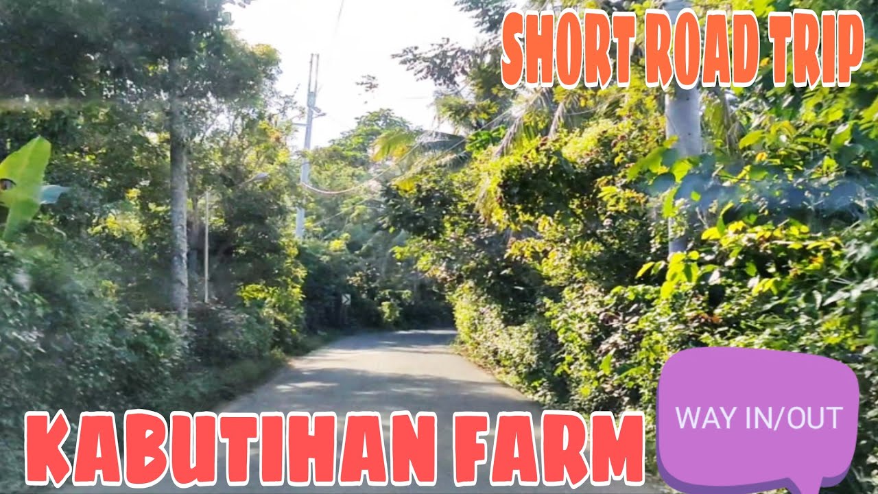 SHORT ROAD TRIP: WAY IN/OUT TO KABUTIHAN FARM l 150 Nov. 30, 2021 - YouTube
