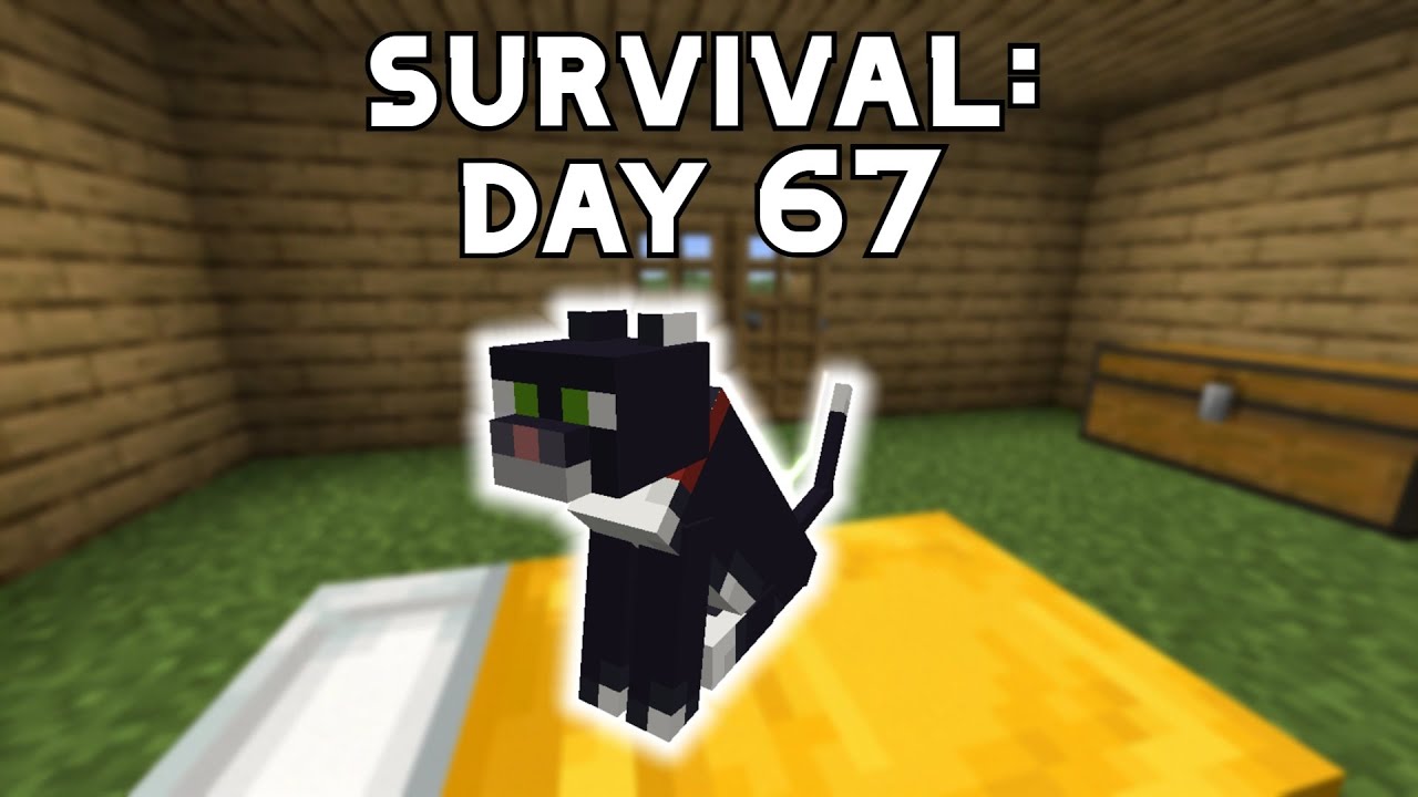 I GOT A CAT | Minecraft Survival - Day 67 - YouTube