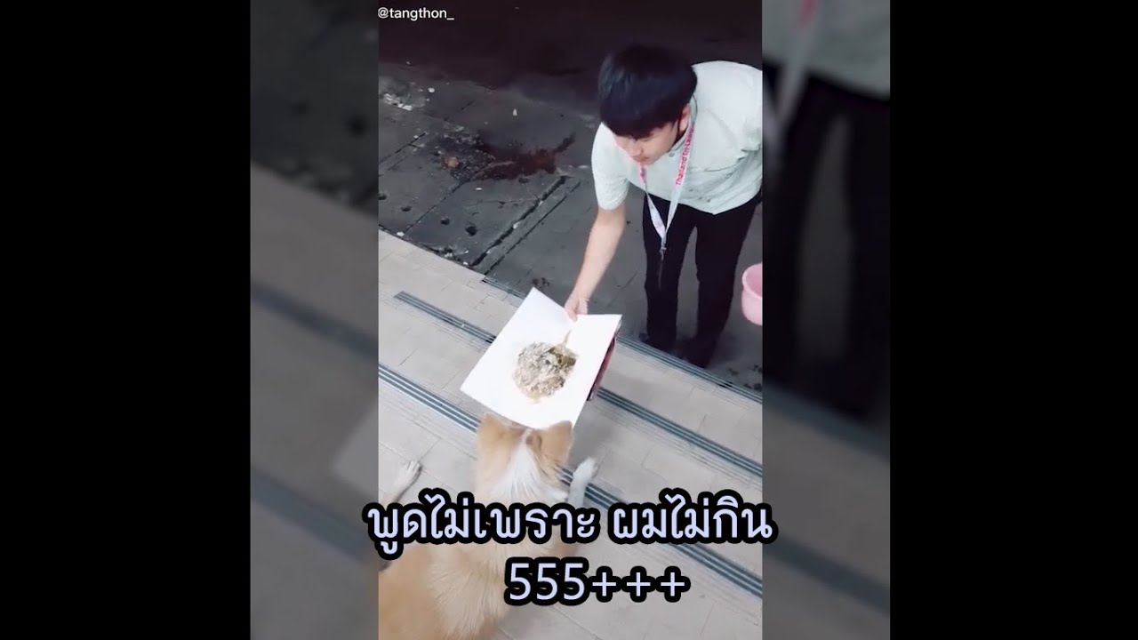 น่ารัก พูดกับผมดีๆหน่อยนะครับ 555++ (น้องหมาต้องการความอ่อนโยน นะคะ ...