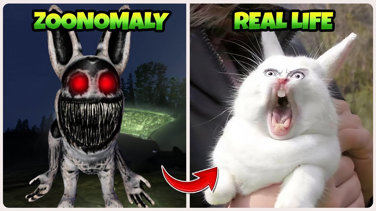 Zoonomaly - Game and Real Life Meme Versions🔥 (Character Comparison ...