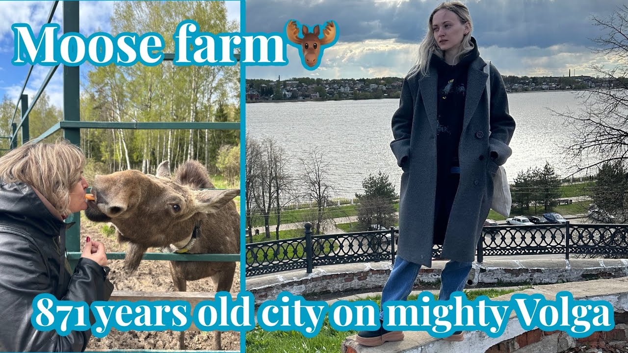 Kostroma.Russia. First view of the city and friendly Moose farm🫎! - YouTube
