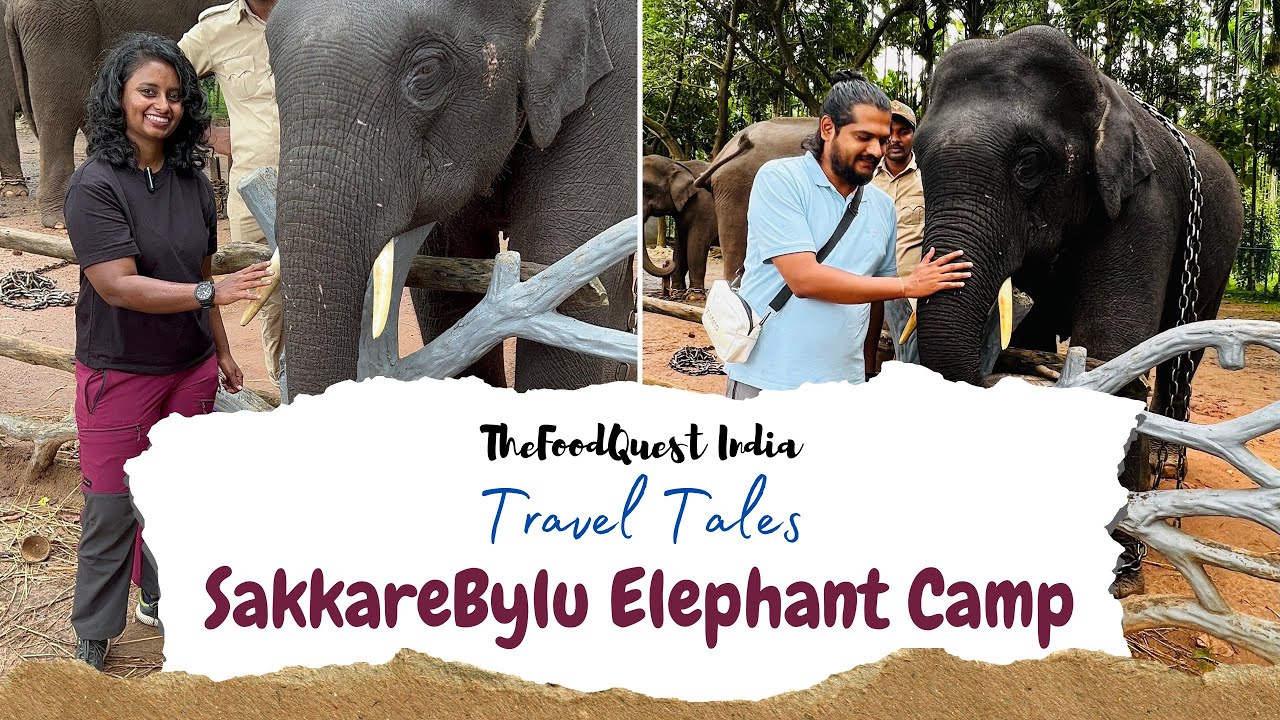 TheFoodQuest Travel Tales || Visit to SakkareBylu Elephant Camp ...