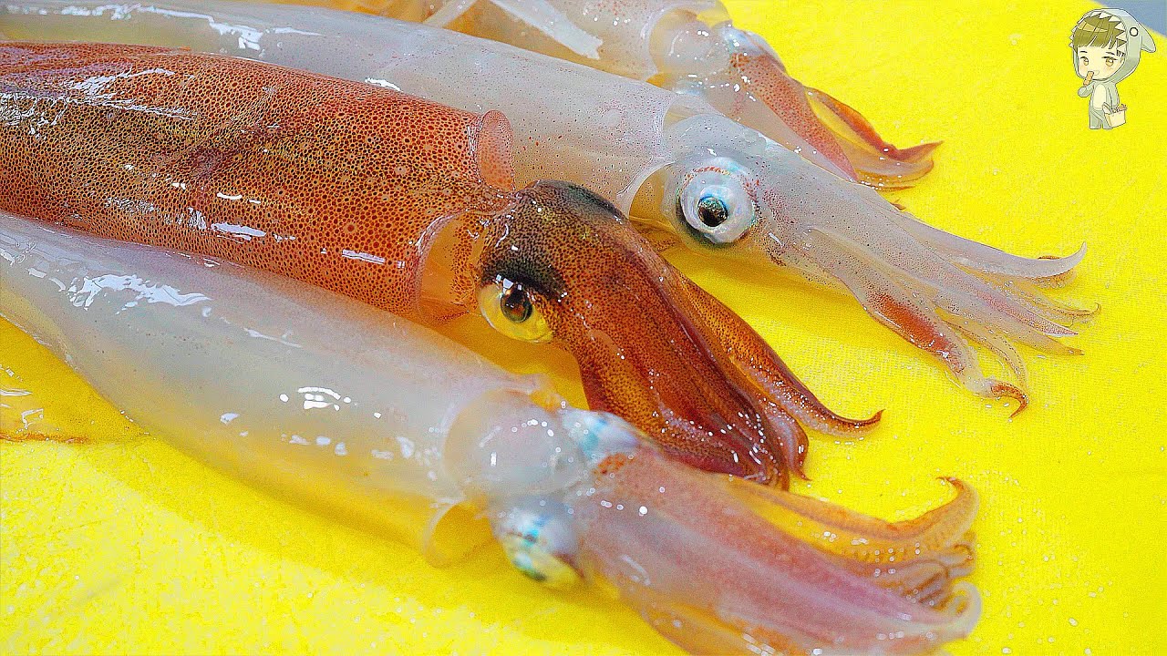 CUTTING LIVE CUTTLEFISH AT POHANG SEAFOOD MARKET KOREA STREET FOOD 포항 ...