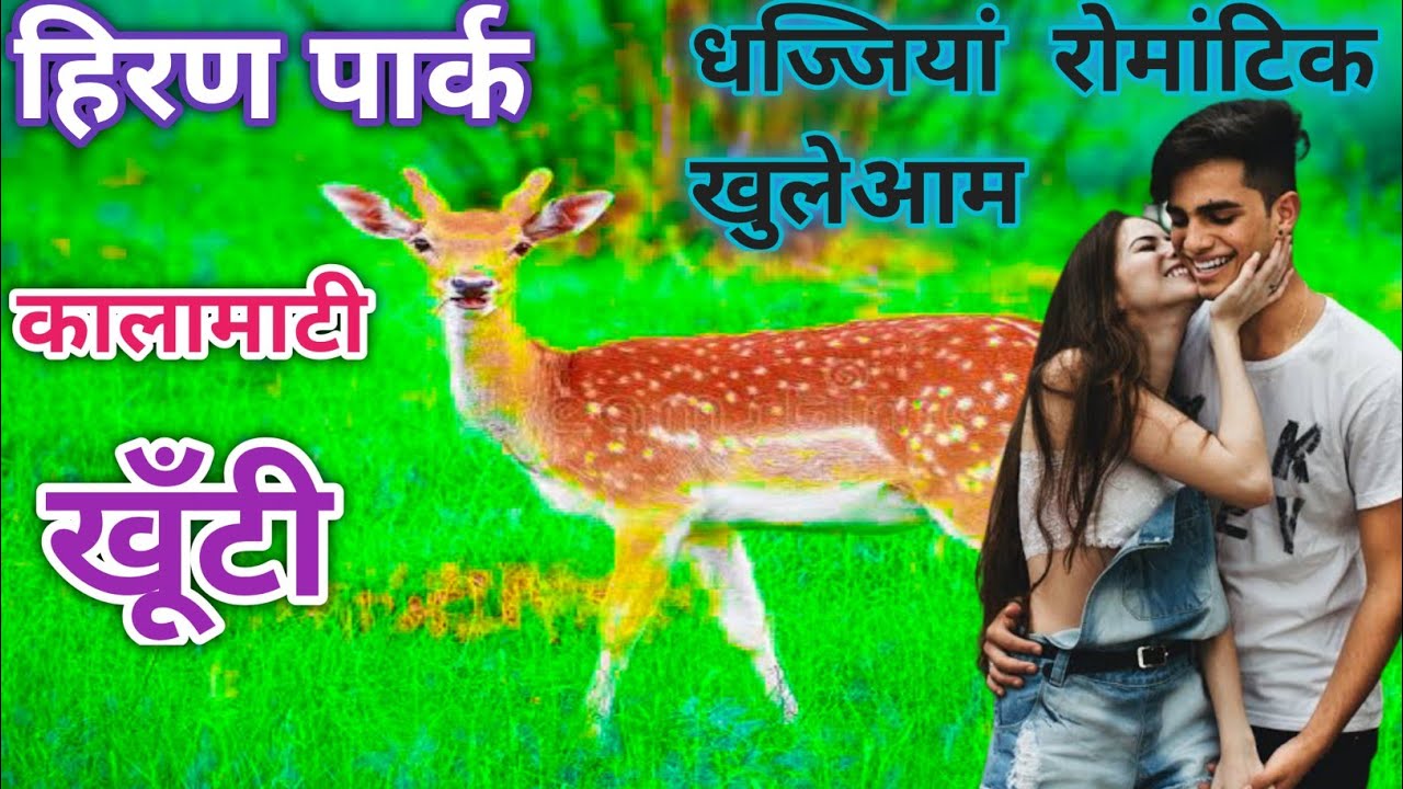 Dear Park ! हिरण पार्क 🦌 बिरसा मृग कालामाटी !! Dear Park kalamati khunti ! - YouTube