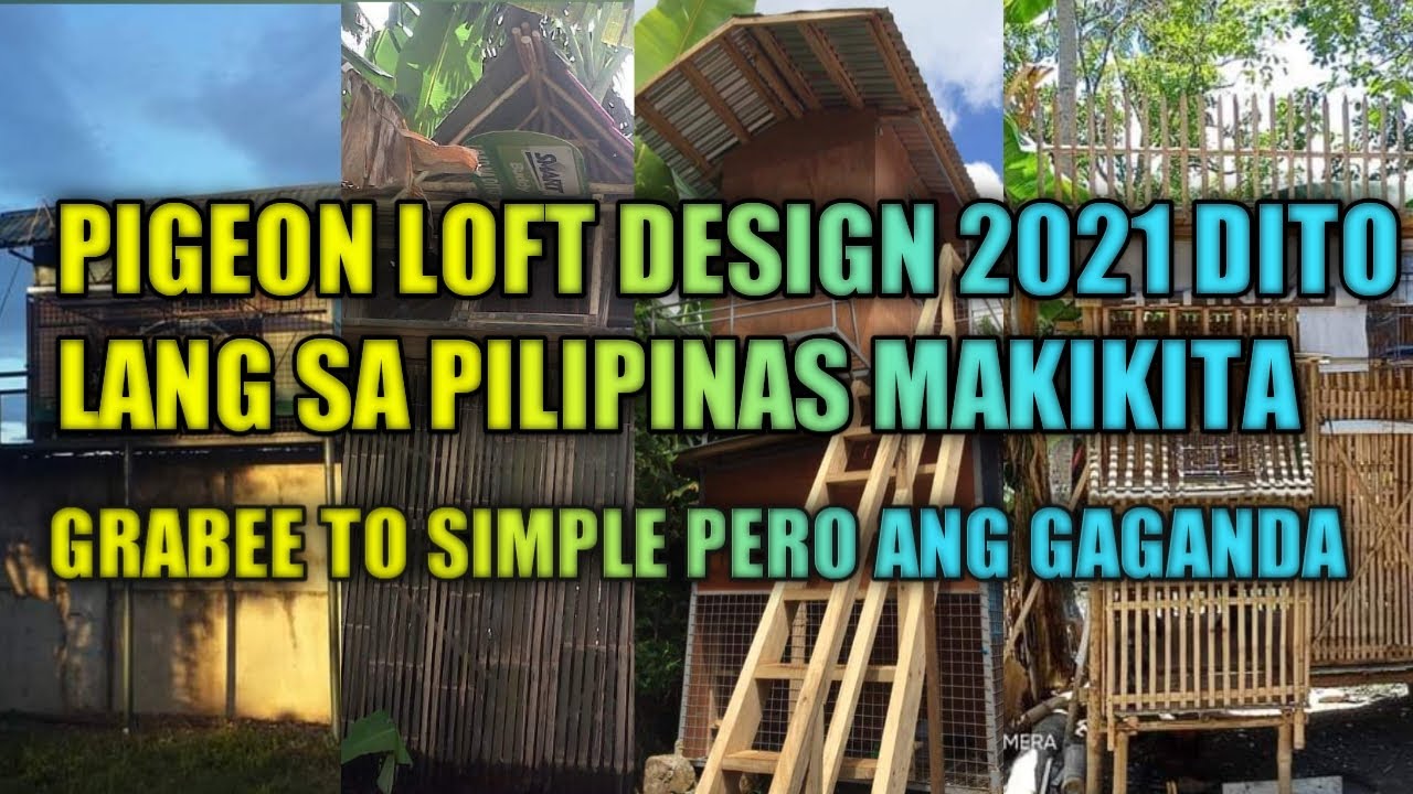 SIMPLE PIGEON LOFT DESIGN IDEA 2021 - YouTube