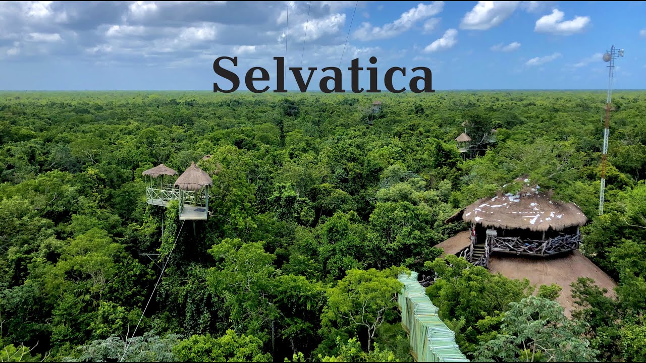 Selvatica, Mexico Ziplines, Side by sides, cenotes - YouTube