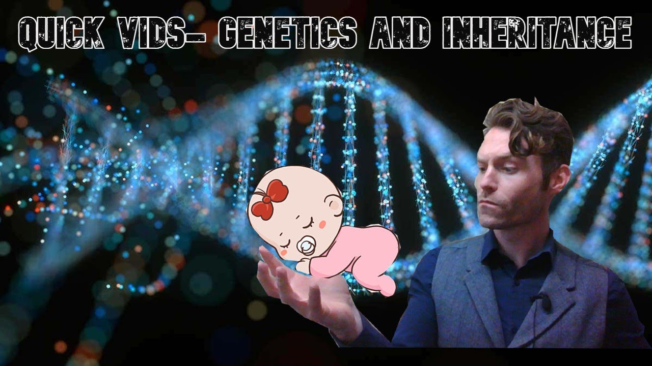 Bio I Quick Vids Unit 8 Genetics- Simple Inheritance Patterns - YouTube