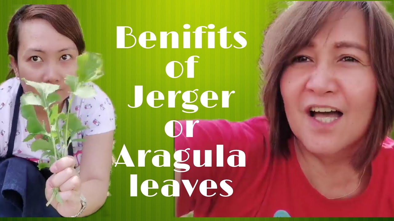 Benifits of Jerger or Arugula leaves - YouTube