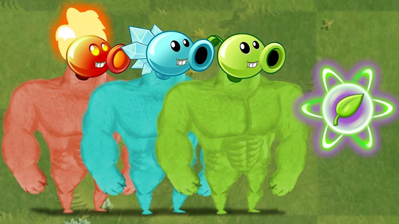 maxresdefault.jpg (1280×720)-花瓣网