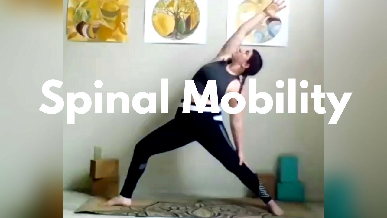 Spinal Mobility Vinyasa - YouTube