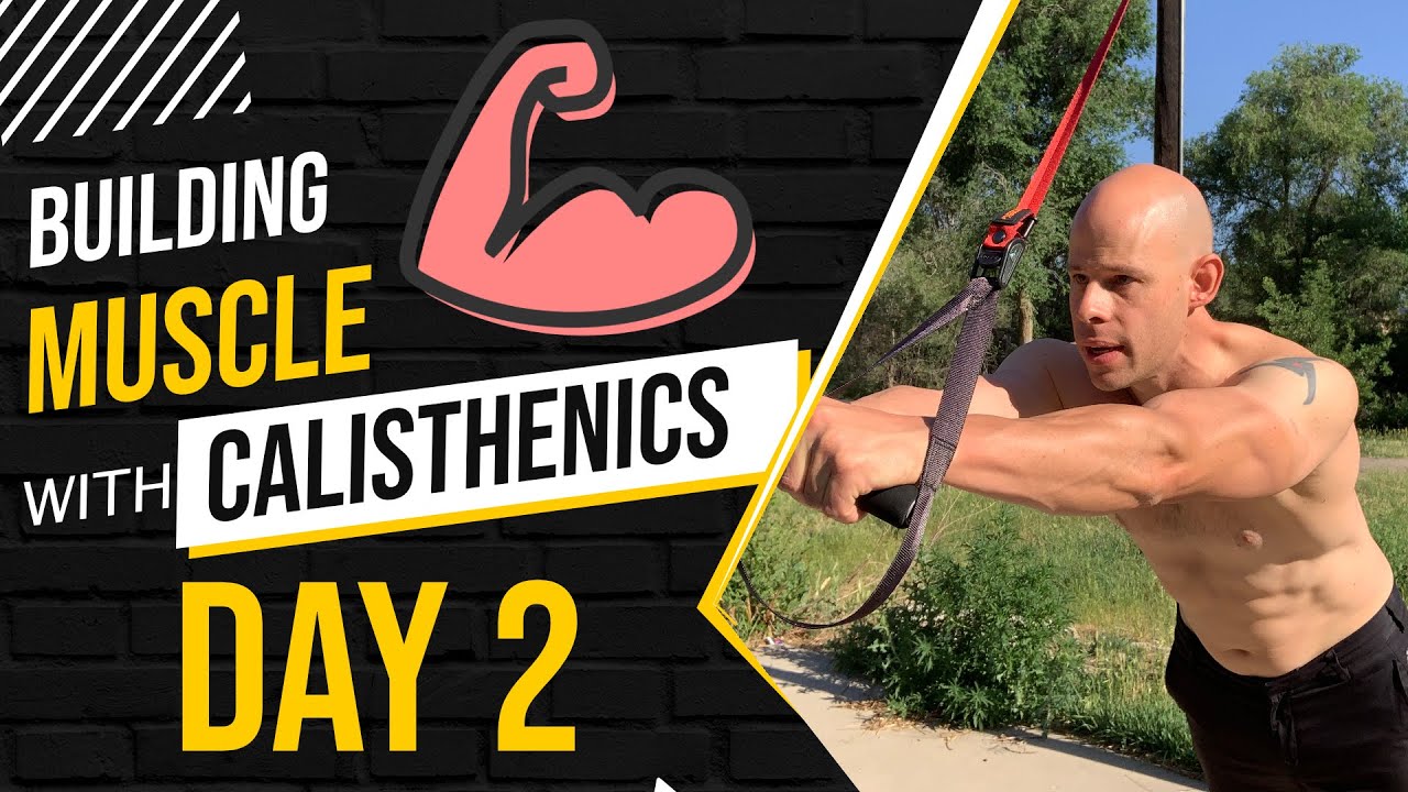 Building Muscle w/ Calisthenics #2; Improving Stamina and Upper Body ...