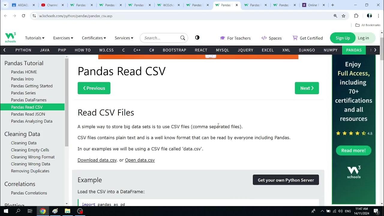 CPROG1:LESSON 12 - BASIC PANDAS - YouTube