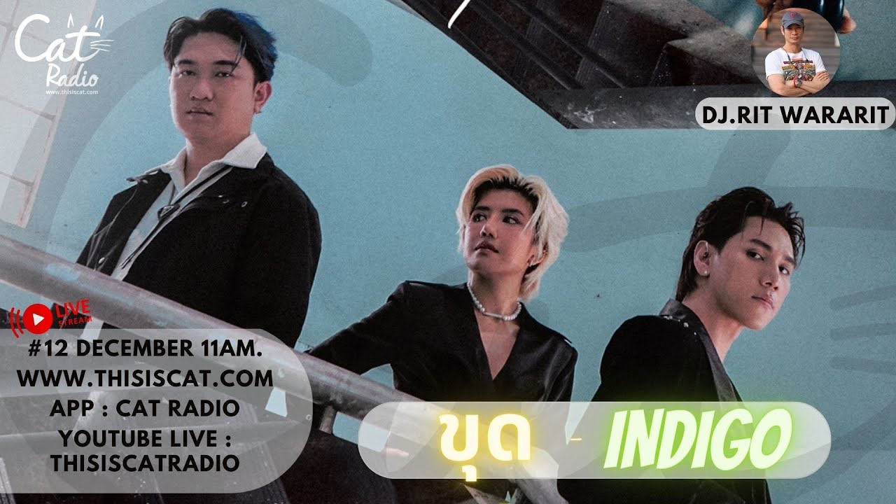 #catinterview INDIGO เพลง ขุด @Move Records - YouTube