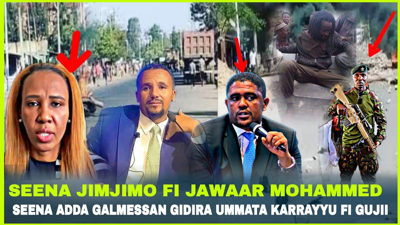 Oduu hatattama seena jimjimo fi jawaar mohamed seena adda galmeesan ...