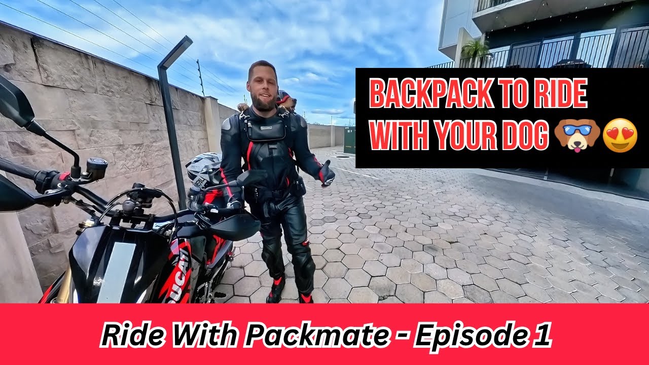 Ride with a dog on a motorcycle | Backpack to carry dog | Packmate Dog ...
