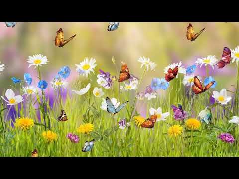 En güzel melodi ve çiçekler