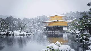 Disturbing Video Of Assault At Zanzou Nightclub Sparks Outrage Zanzou ...