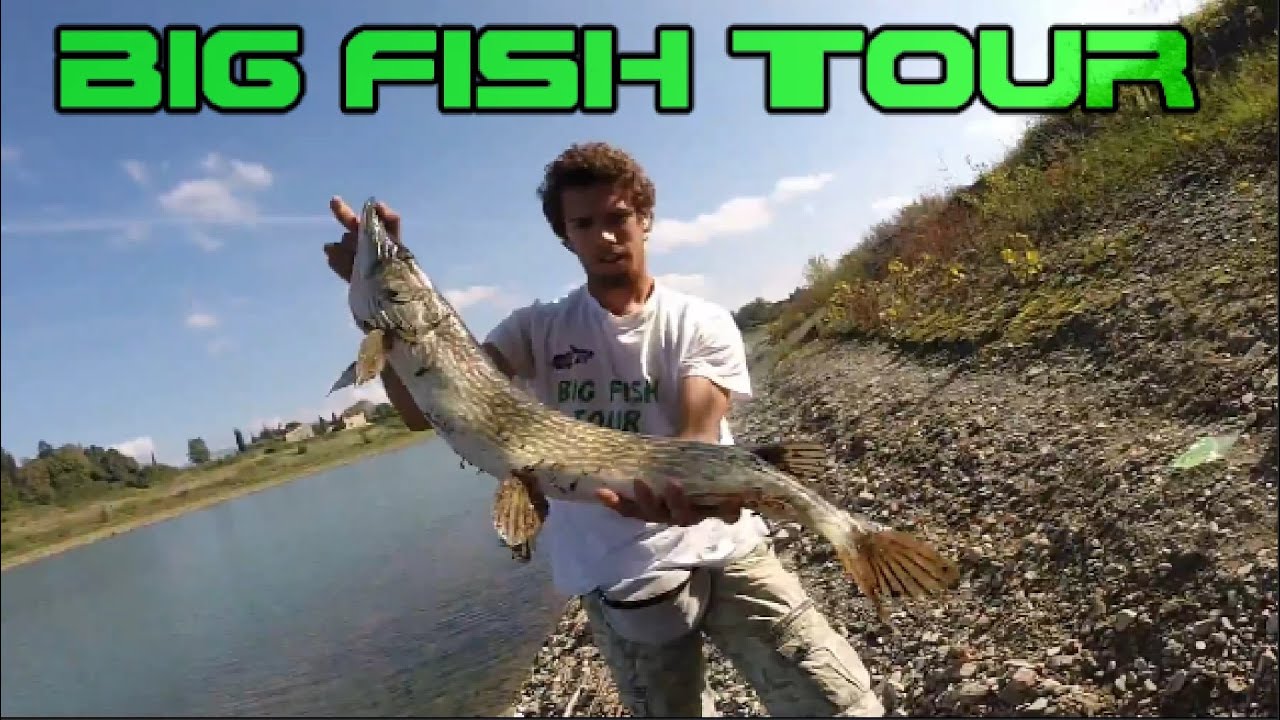 Big fish tour - BIG ESOX ! LUCCIO da 90 sul Lago di Bilancino !! - YouTube