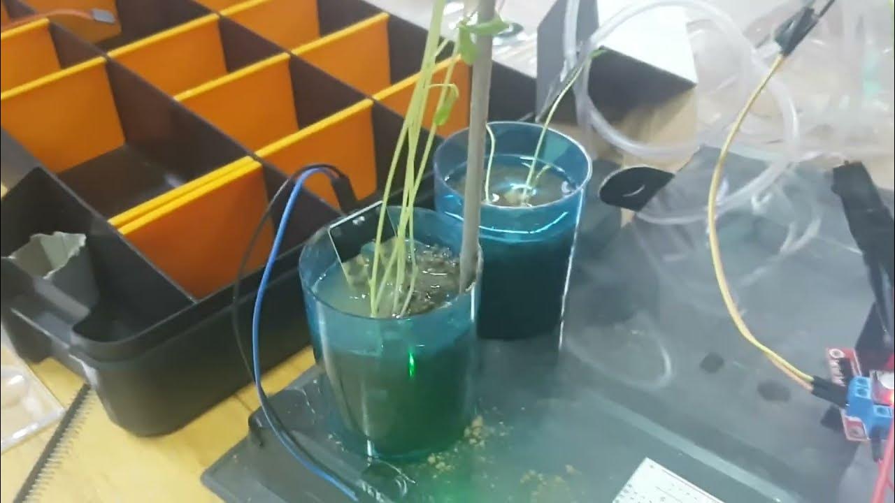 Otomatik Sulama Sistemi (Arduino ile) | Robotik Kodlama - YouTube