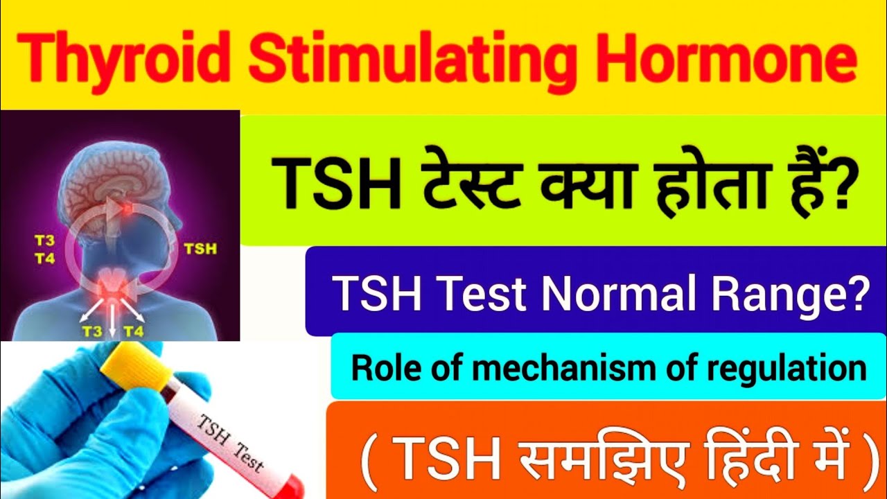 Thyroid Test क्या है?(Thyroid stimulating hormone) in Hindi | TSH ...