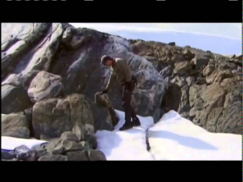 NOVA scienceNOW w/ Neil deGrasse Tyson: Where did we come from? - YouTube