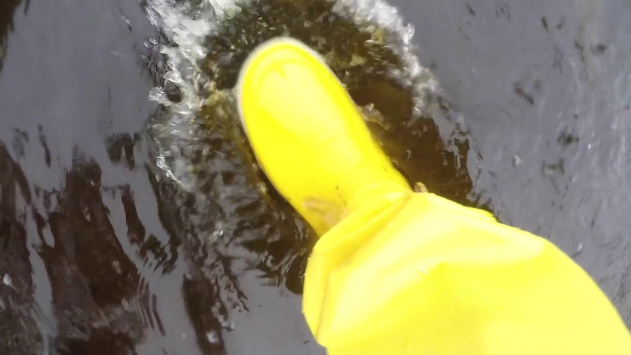 A walk in yellow - YouTube