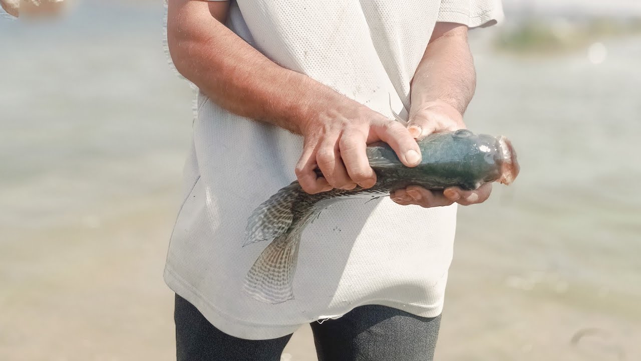 fishing 🎣 fish name kaki baccha - YouTube