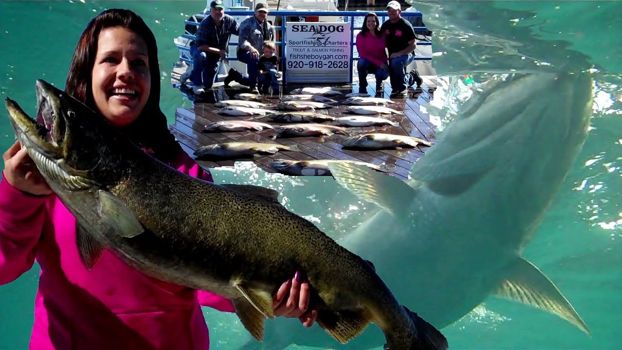 Sheboygan Harbor fishing for salmon September 29, 2013 - YouTube