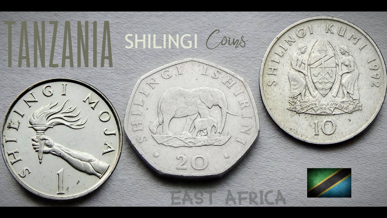 Tanzanian SHILINGI Coins | TANZANIA - EAST AFRICA - YouTube
