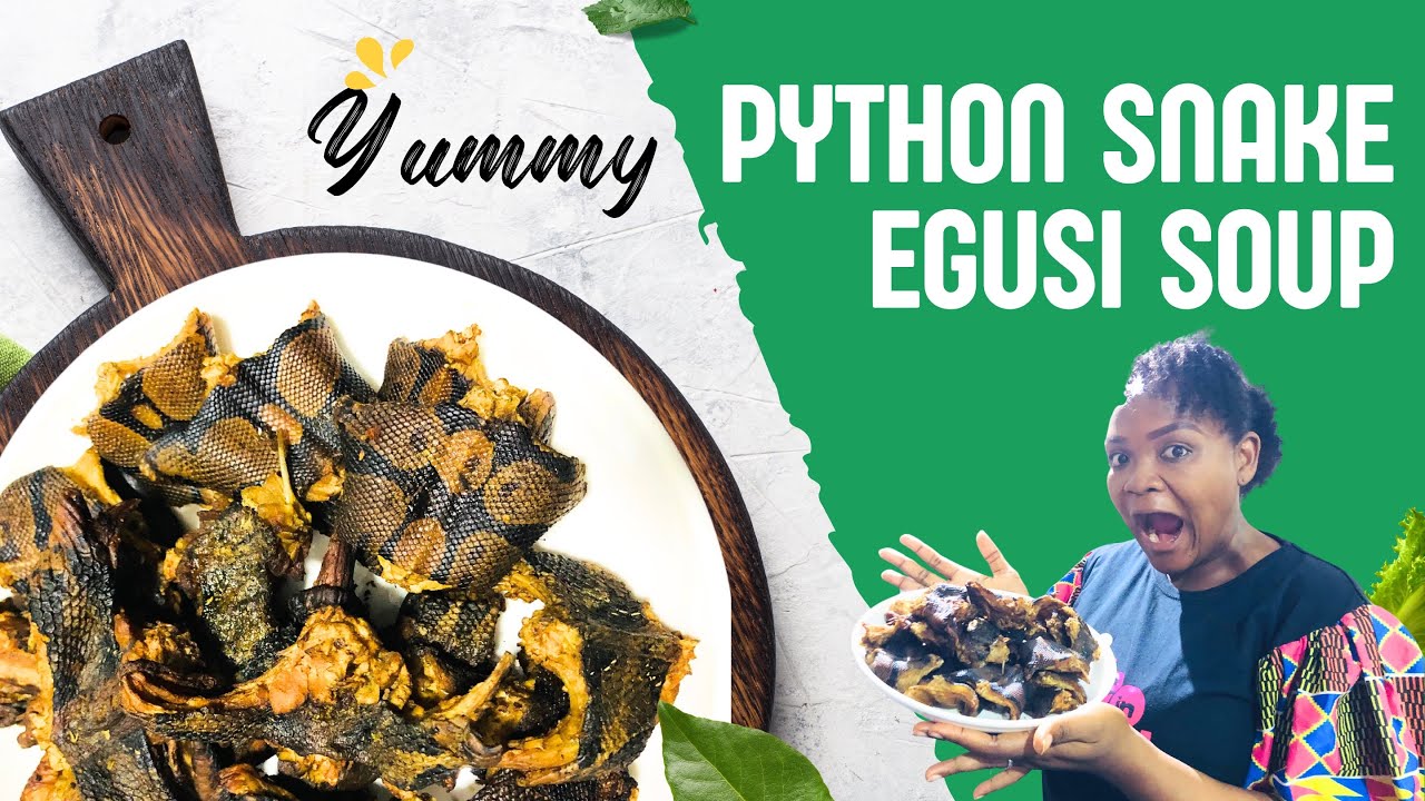 GIANT SNAKE SOUP | DELICIOUS BIG PYTHON - YouTube