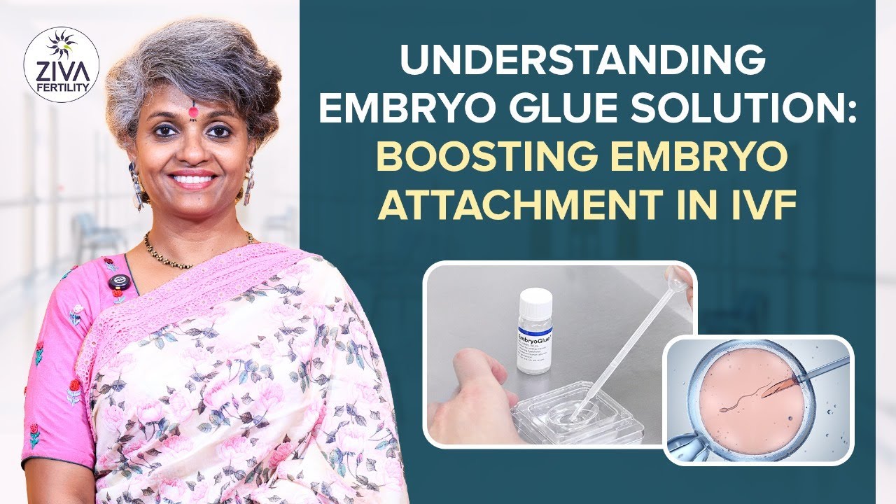 Embryo Transfer With Embryo Glue In IVF | IVF Success Tips | Dr C ...