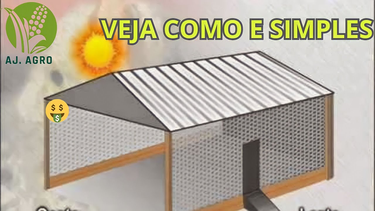 Como Dimensionar um Galinheiro Muito Rápido? - YouTube