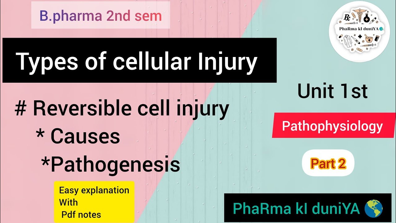 Types of cellular Injury|Reversible cell injury|Causes|Pathogenesis ...