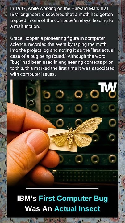 IBM's first computer bug was an actual insect wt - YouTube