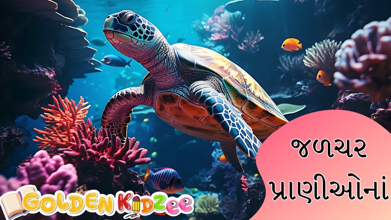 જળચર પ્રાણીઓનાં નામ | jalchar prani na naamt | Sea animal name in ...