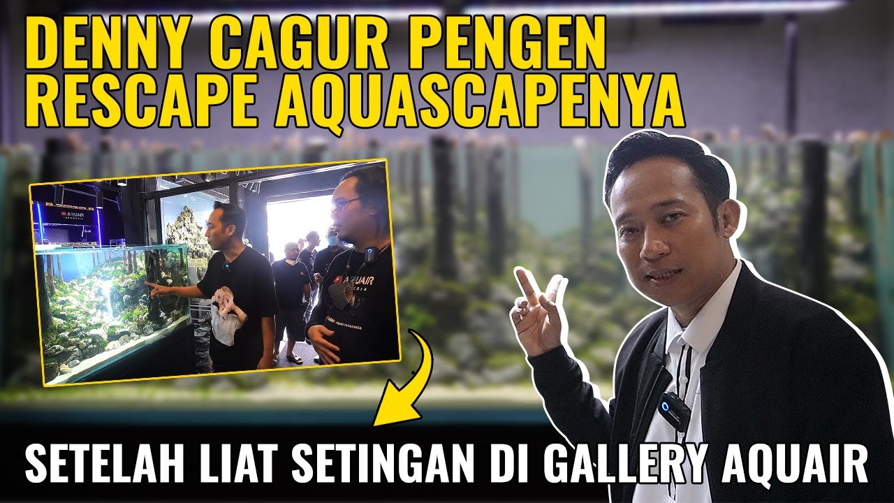 [AQUAIRPLAY] RESCAPE AQUASCAPE DENNY CAGUR. 7 WATERFALL AQUASCAPE - YouTube