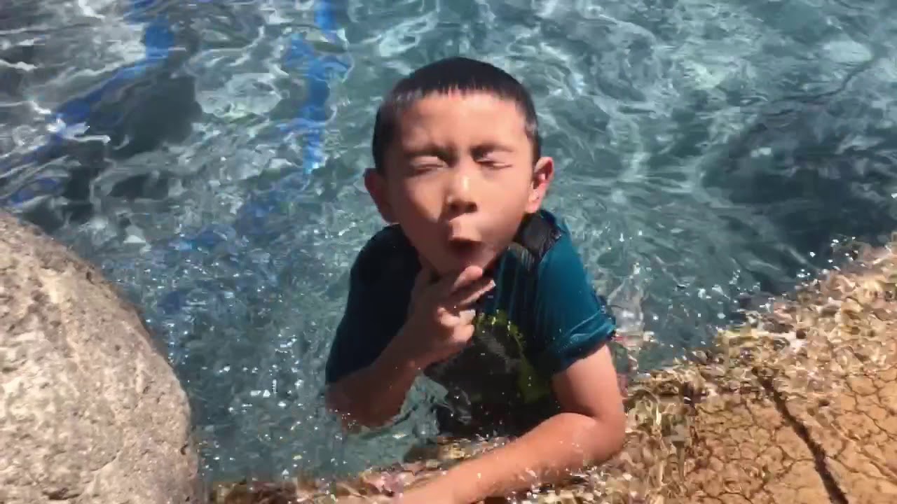 Fort Shafter Pool Sunday Morning - YouTube