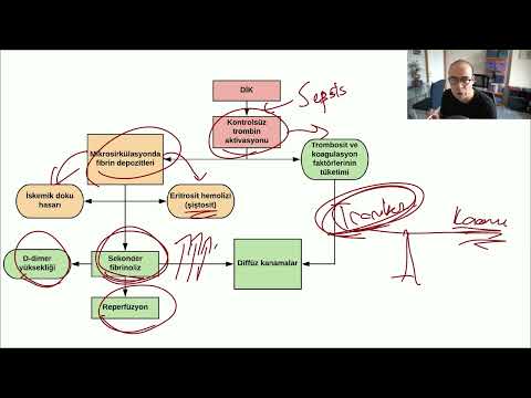 TROMBOTİK MİKROANJİOPATİLER VE HEMOSTAZ SORULARI (SORULARLA SON TEKRAR KAMPI 2022)