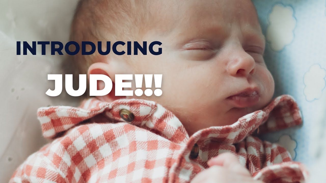 Introducing my new diamond painting buddy...JUDE! - YouTube