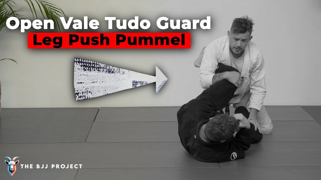 Open Vale Tudo Guard - Leg Push Pummel - YouTube