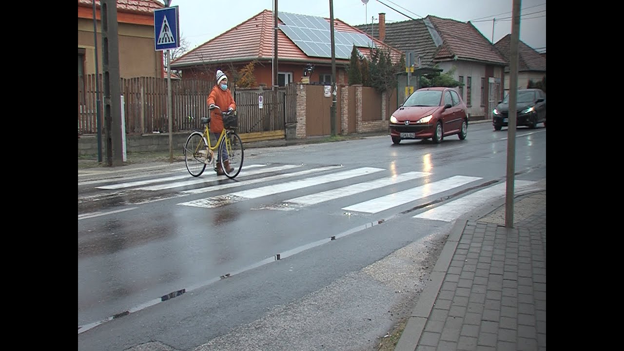 2021 12 17 WTV Híradó Okos zebra Üllőn - YouTube