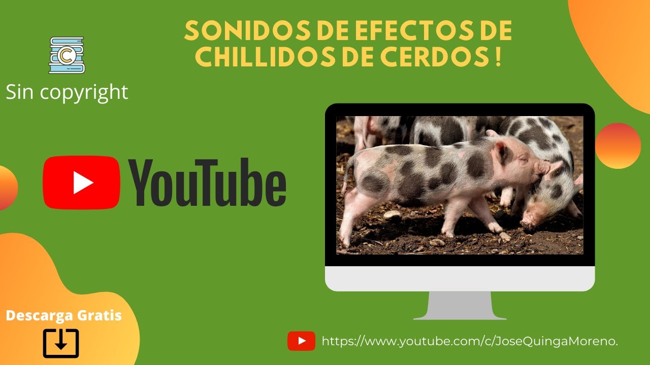 Sonidos de Efectos Chillido de Cerdo* Efecto de cerdo* Efecto del ...