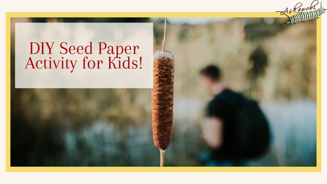 DIY Seed Paper: Restoration Ecology for Kids! - YouTube