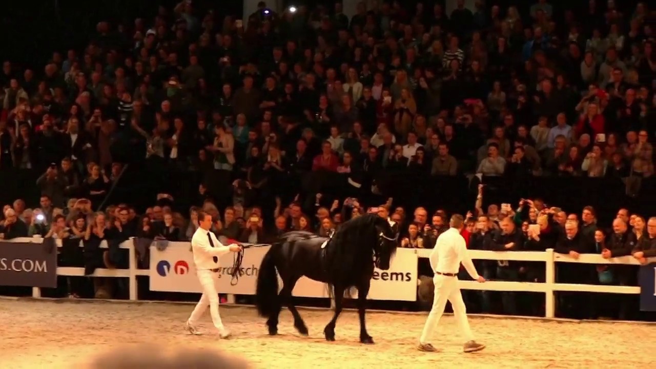 Jasper 366 Leeuwarden 2017 - YouTube