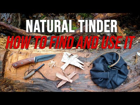 How to find and use natural fire tinder in winter - birch bark and fat ...
