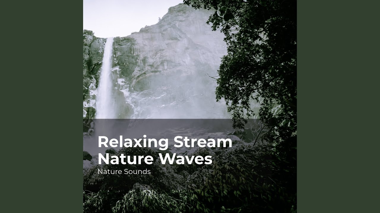 Forest at Nightfall - YouTube