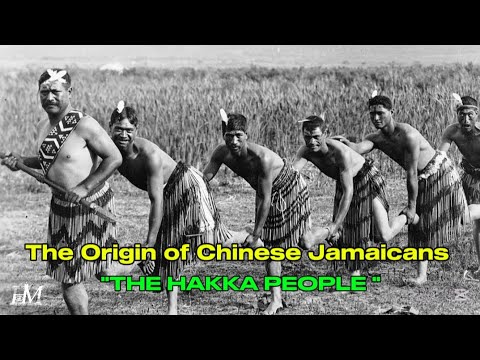 Chinese - Jamaican origins// Hakka Chinese Jamaicans. - YouTube