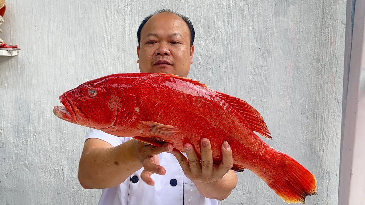 The best fried red grouper, must eat this fish once in your life // Vn ...